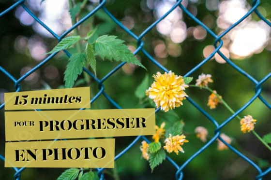 Un exercice de 15 min pour vous aider à progresser en photo – Tonton Photo