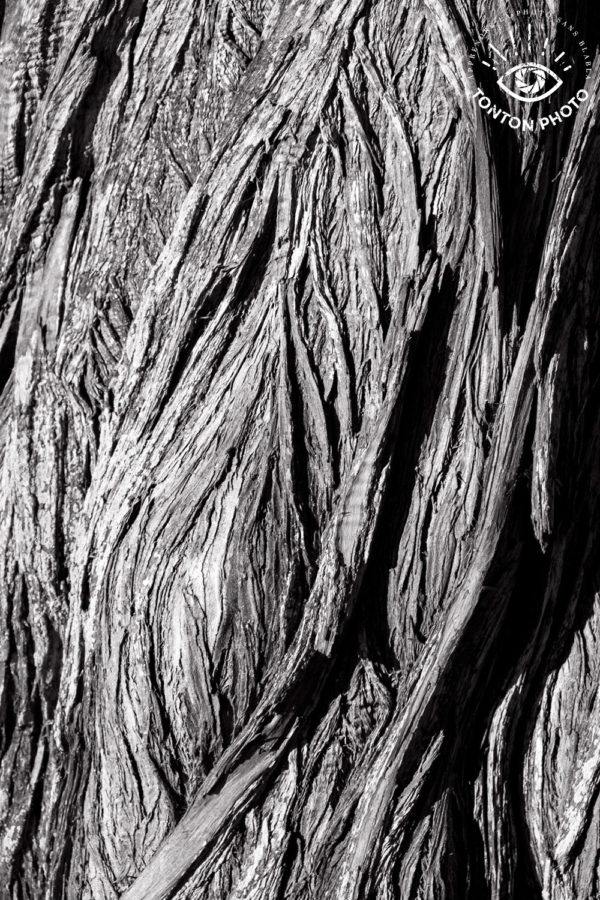 Un exercice de 15 min pour vous aider à progresser en photo – Tonton Photo