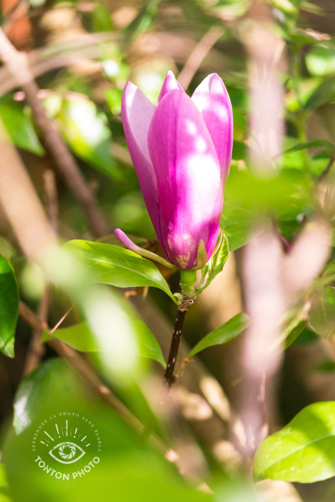 Un exercice de 15 min pour vous aider à progresser en photo – Tonton Photo